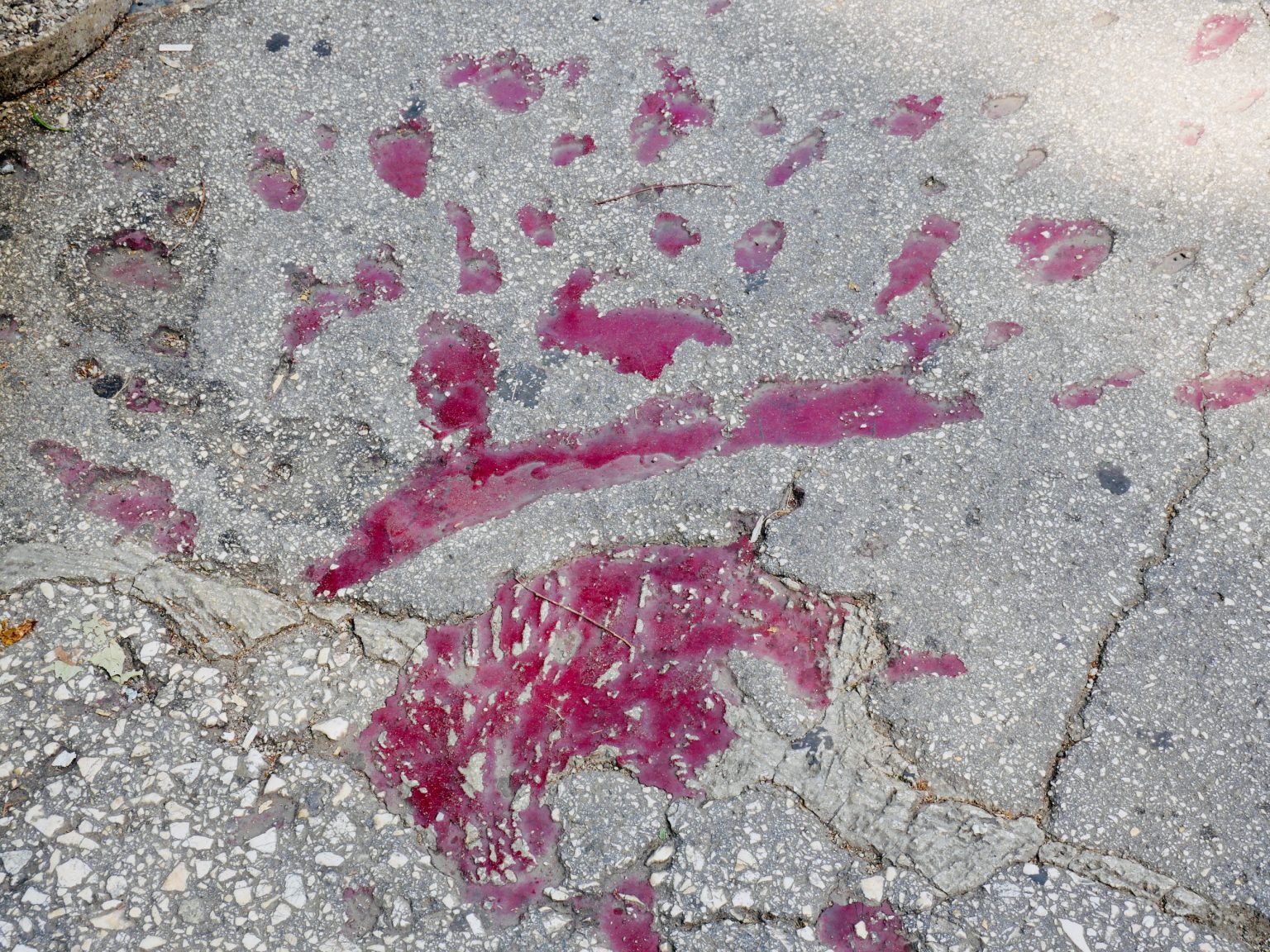 Wat te doen in Sarajevo? 24 bezienswaardigheden en tips - Mooie plekken ...