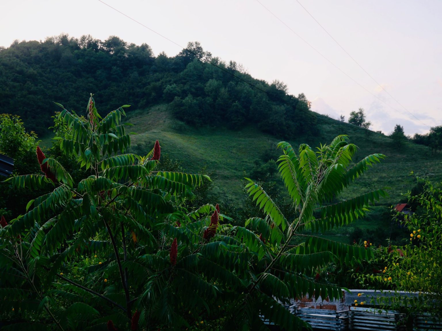 De magische piramides van Visoko in Bosnië & Herzegovina - Mooie ...