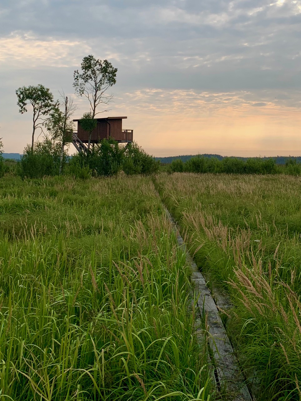 Zomer aan het Nedre Fryken meer - Mooie plekken op aarde
