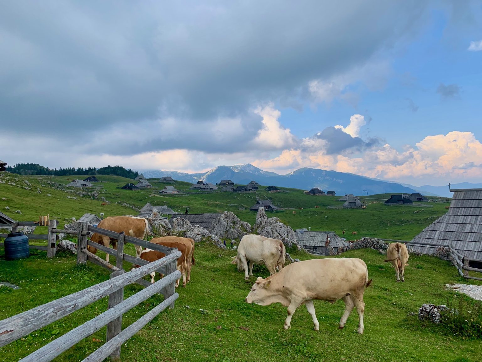 Velika Planina Slovenië: wandelen, tips en overnachten