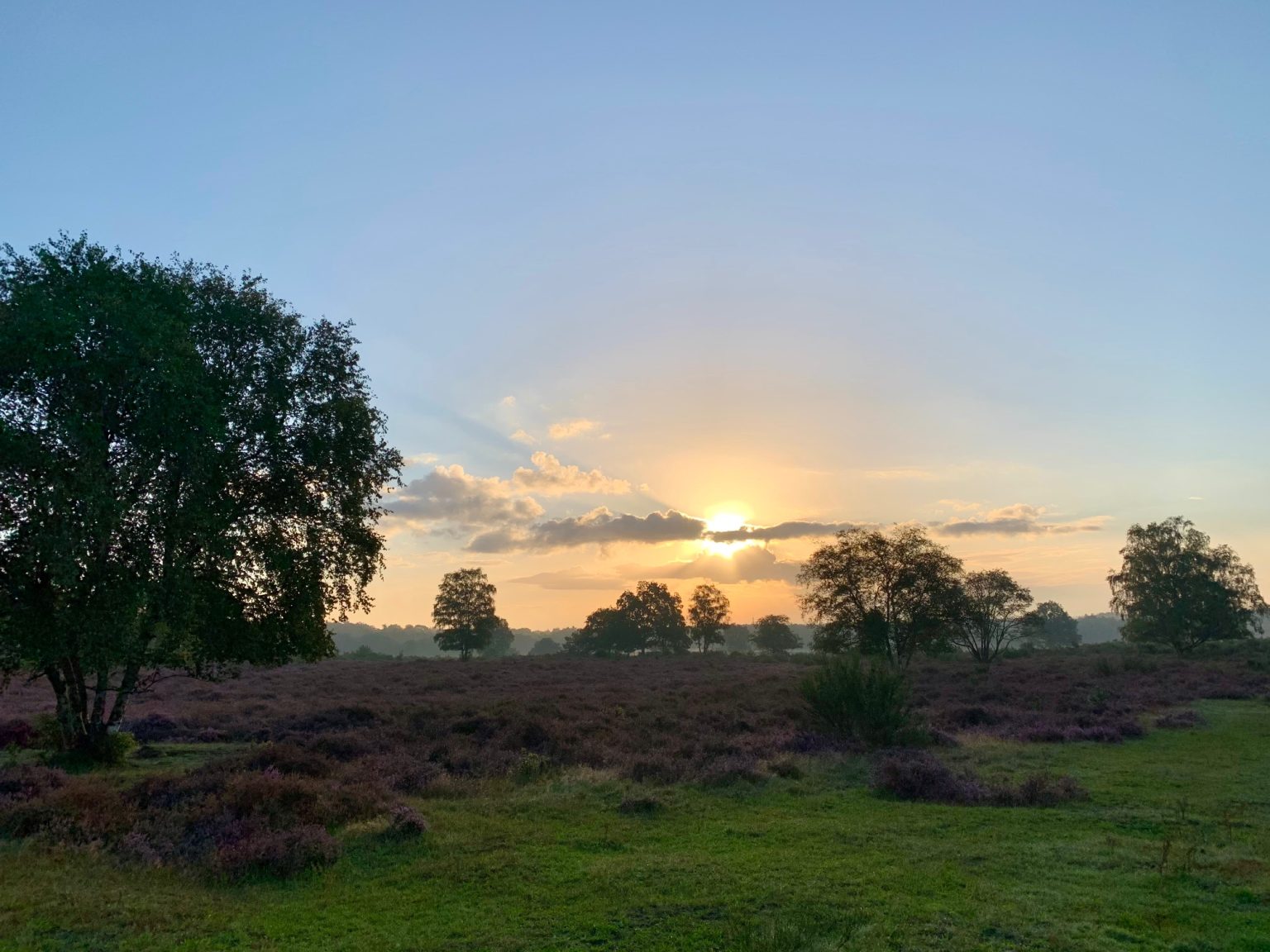 Hoe laat komt de zon op in Nederland? Zonsopkomst per maand