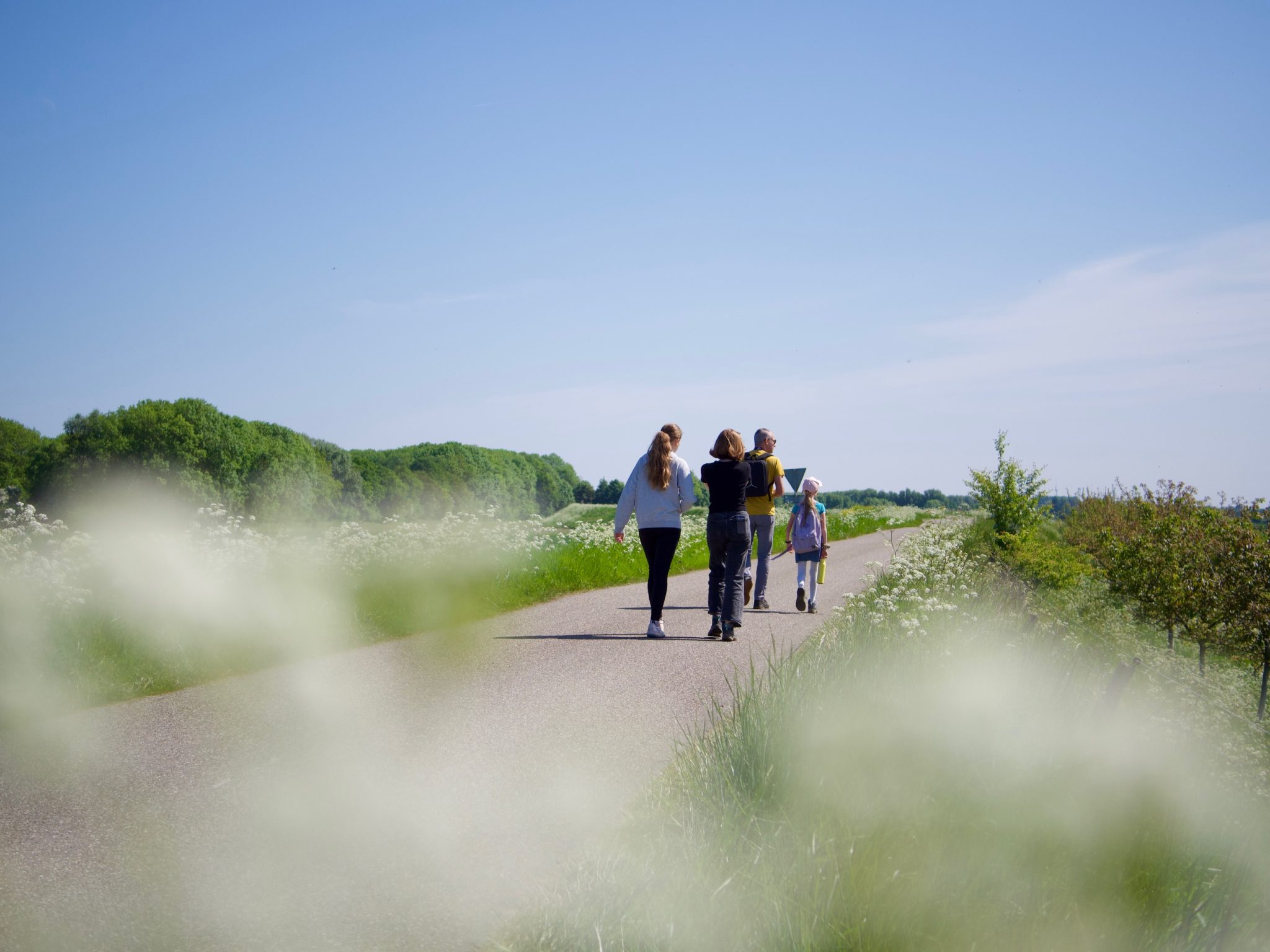 Dreischor: wat te doen, zien & eten in dit pareltje van Zeeland